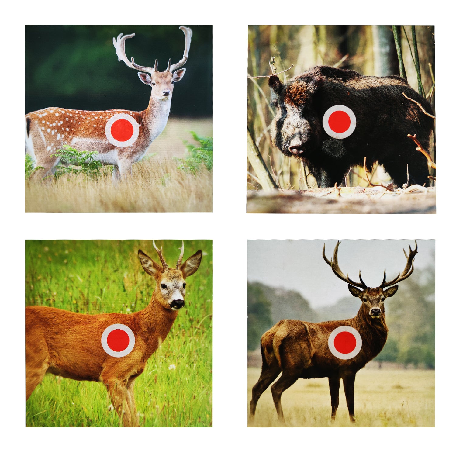 PAPER TARGETS – ATFLBOX